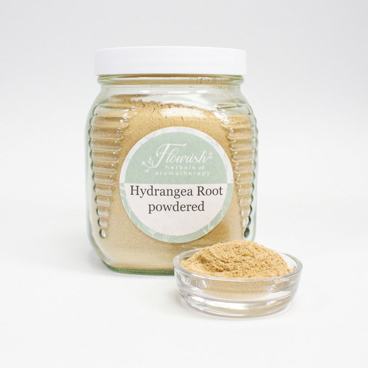 Hydrangea Root Powder - Organic Fine Ground Hydrangea Arborescens ...